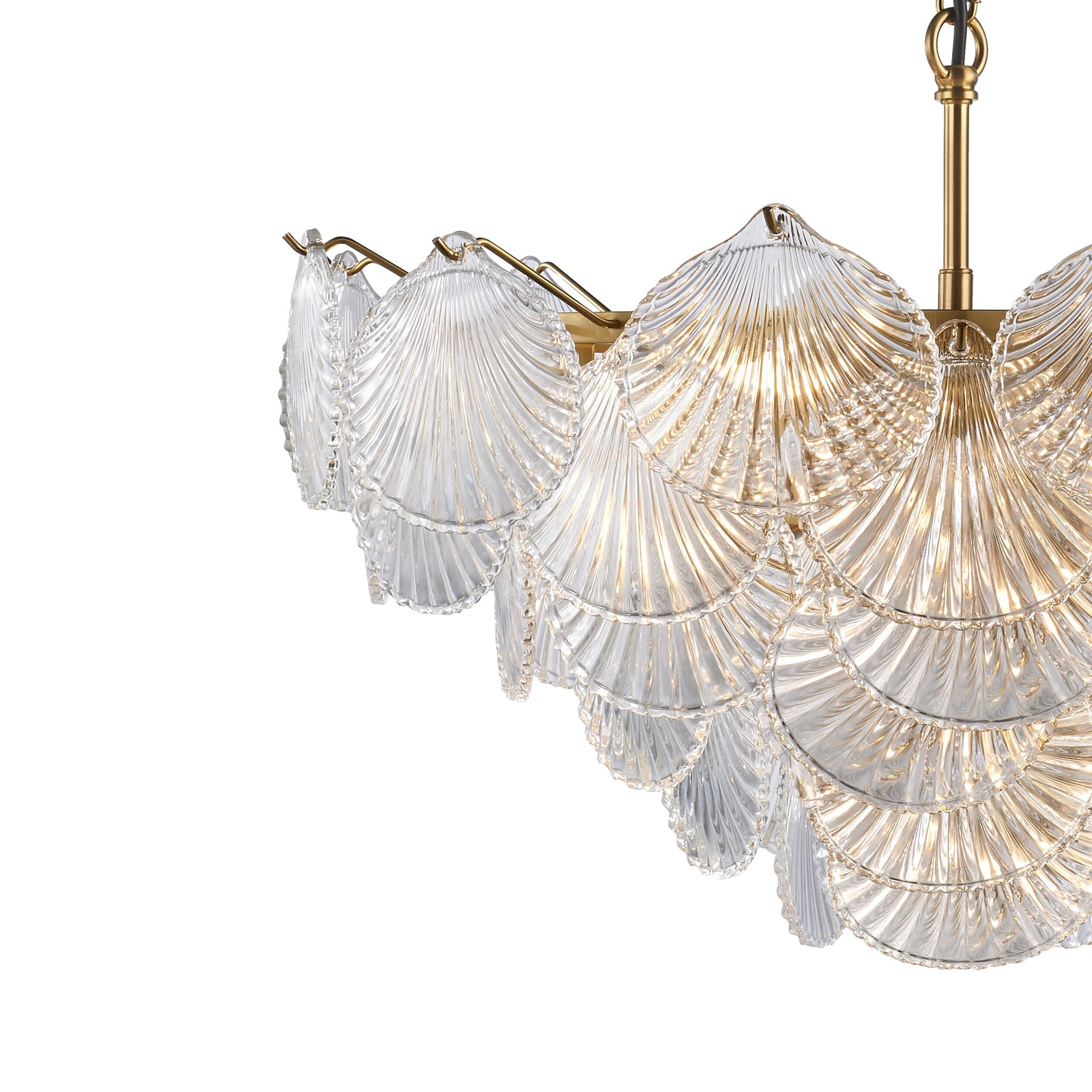 Shelly 8 Light Chandelier 60x46cm – Early Settler Australia
