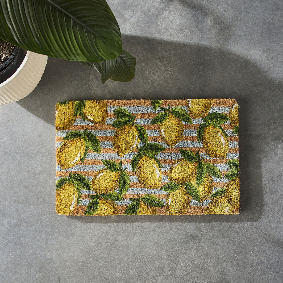 Lemon Crush Coir Doormat 75x45cm – Early Settler Australia