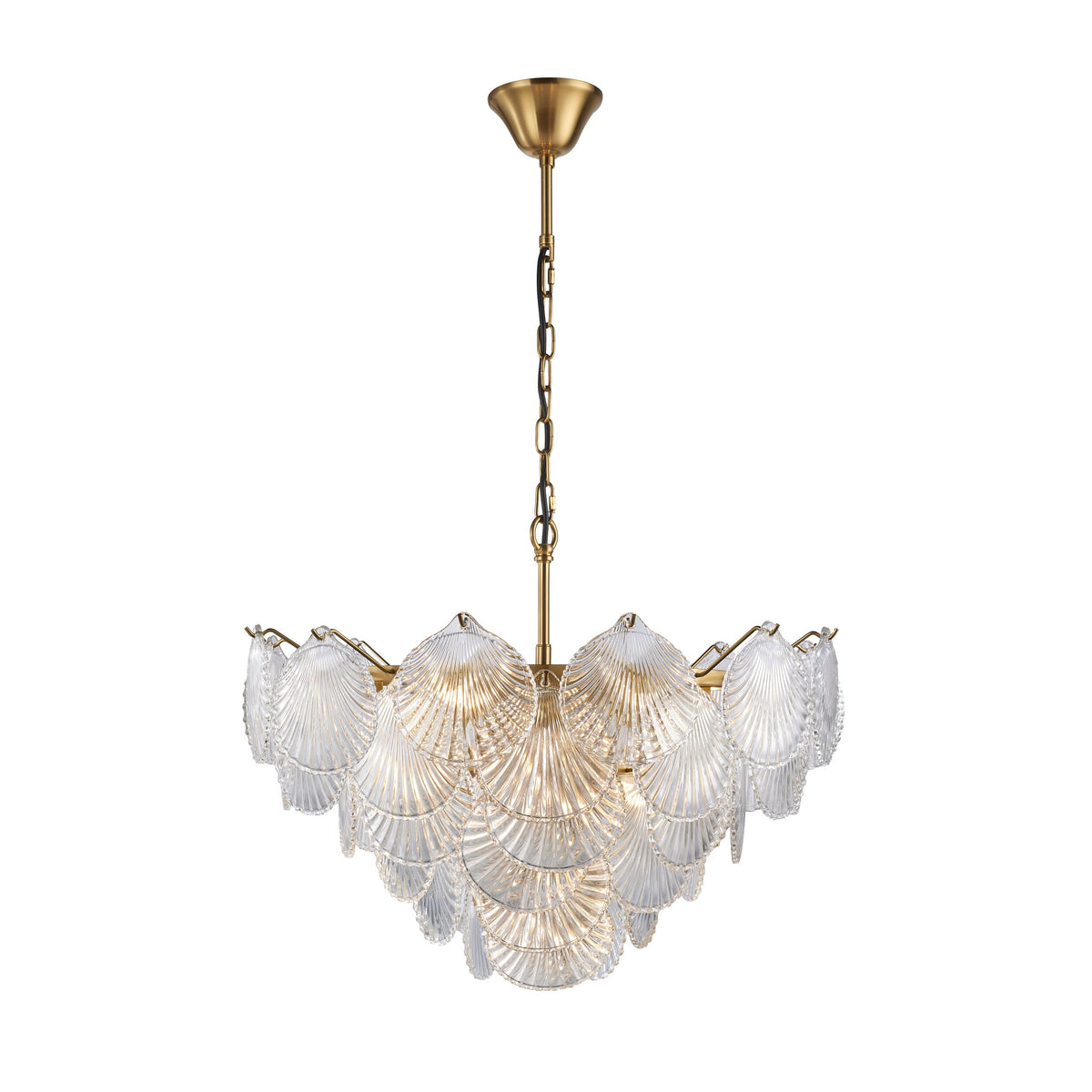Shelly 8 Light Chandelier 60x46cm – Early Settler Australia